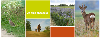 Une chasse durable